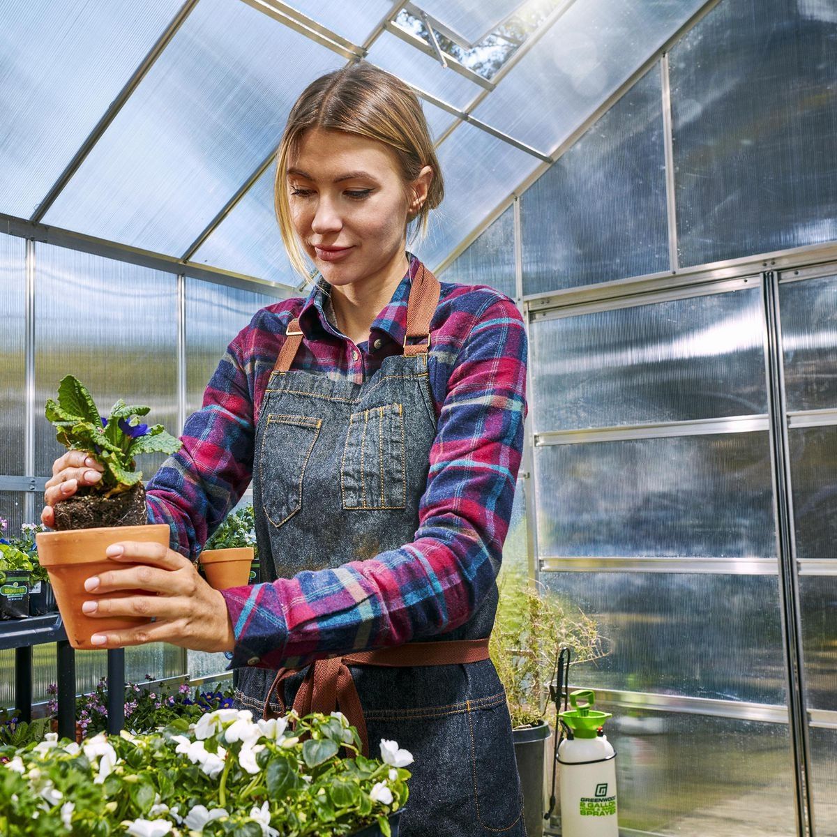 One Stop Gardens 10 ft. x 12 ft. Greenhouse with 4 Vents - 93358 ...